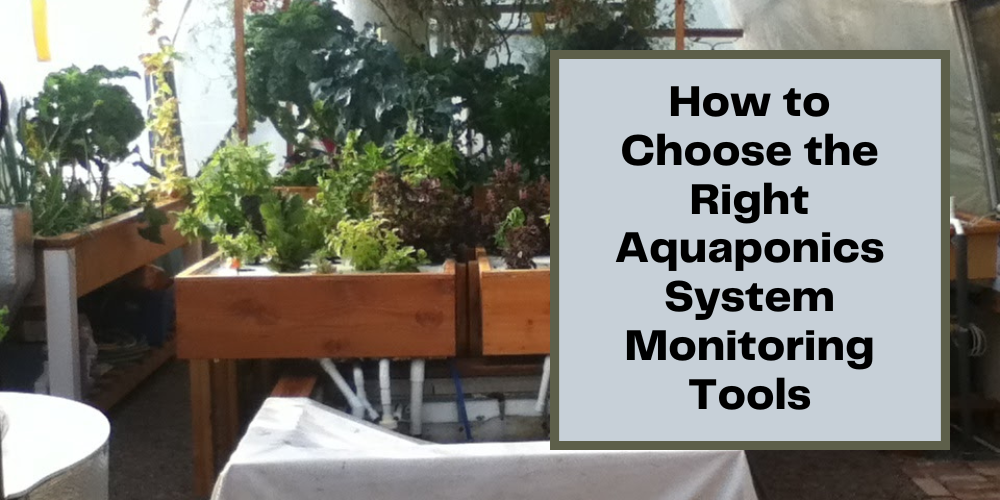 What is a Bell Siphon and Why We Use it in Aquaponics - Go Green Aquaponics