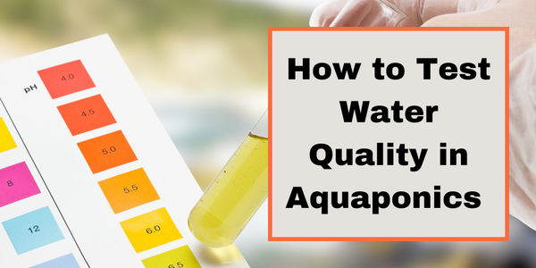 How to Test Water Quality in Aquaponics - Go Green Aquaponics