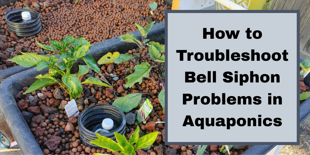 What is a Bell Siphon and Why We Use it in Aquaponics - Go Green Aquaponics