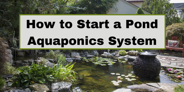 How to Start a Pond Aquaponics System - Go Green Aquaponics
