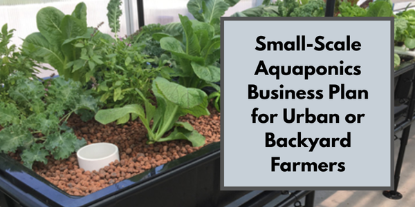 Guide to the Different Types of Aquaponics Systems - Go Green Aquaponics