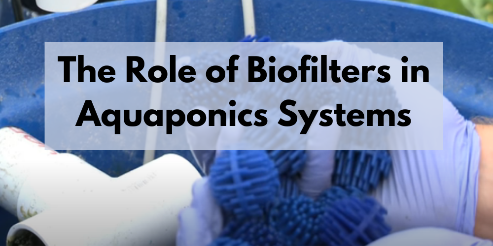 Guide to Nutrient Film Technique Aquaponics System - Go Green Aquaponics