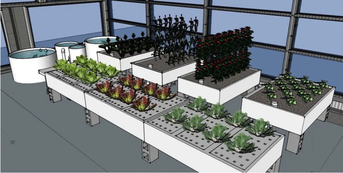 Custom Designed Aquaponics Systems | Go Green Aquaponics